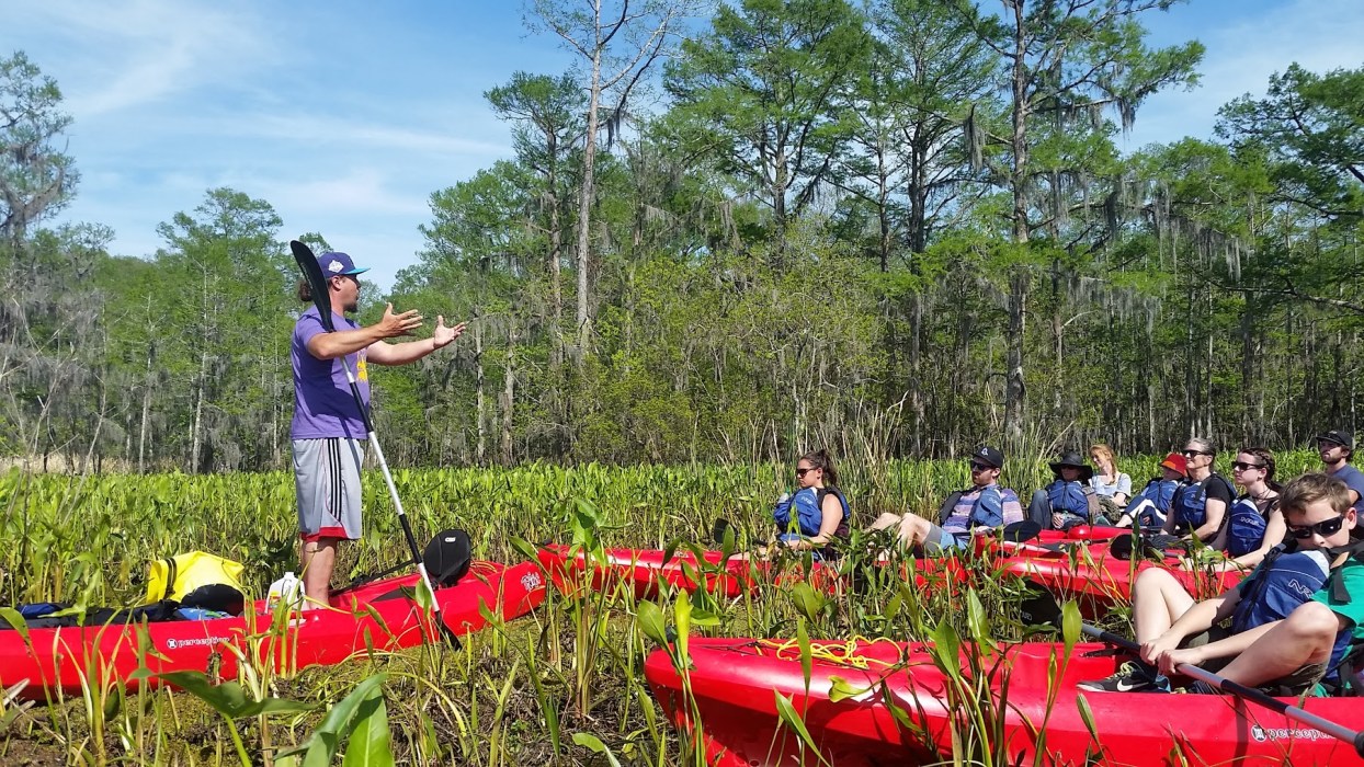 Which New Orleans swamp tours are the best?