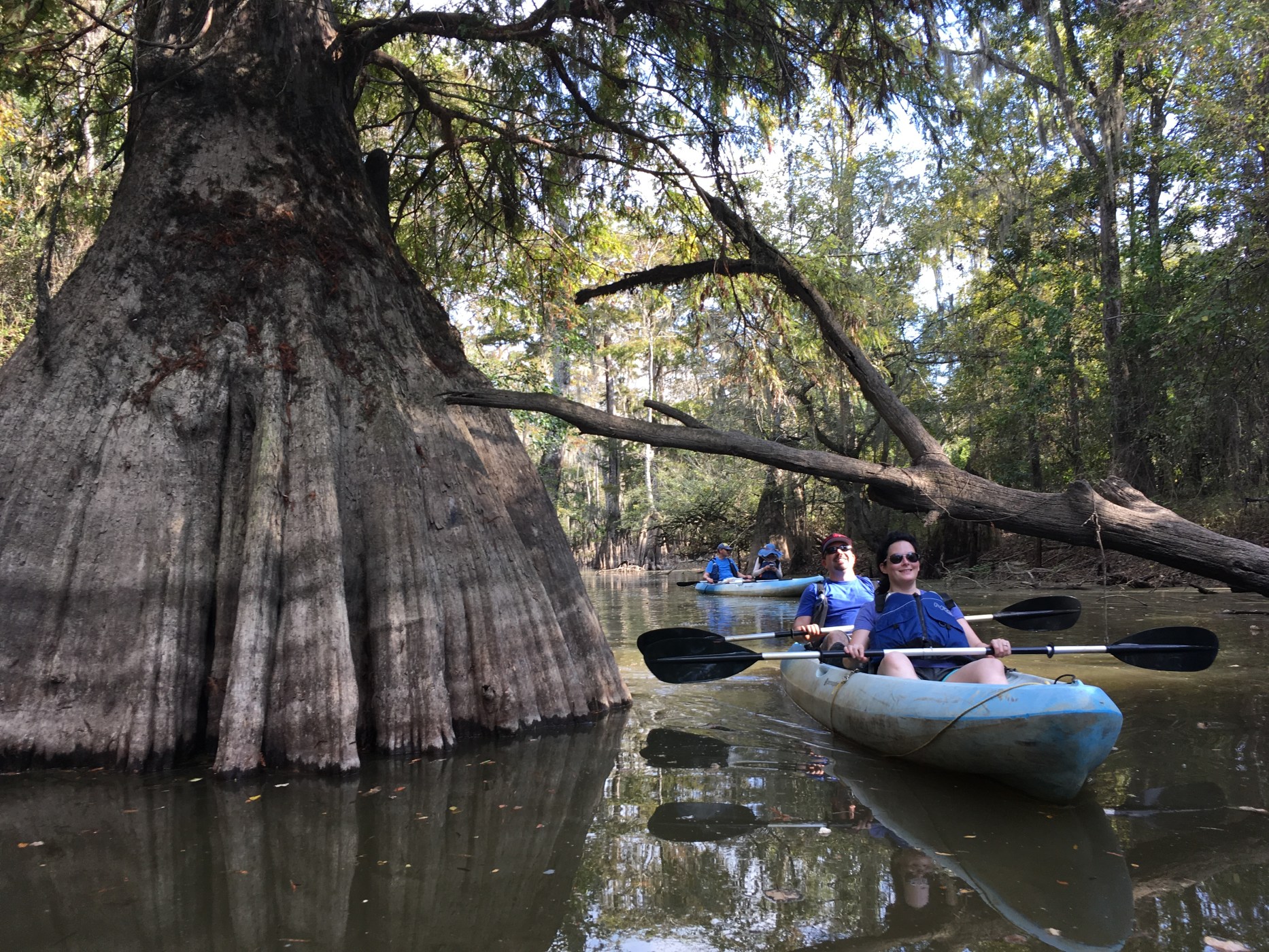 Honey Island Kayak Swamp Tours | New Orleans Kayak Swamp Tours